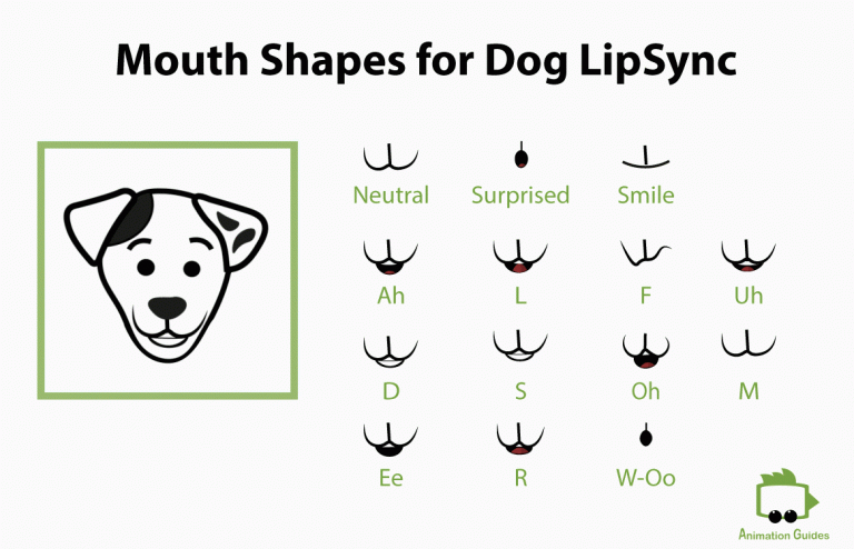 How to Create a Dog Puppet in Adobe Character Animator