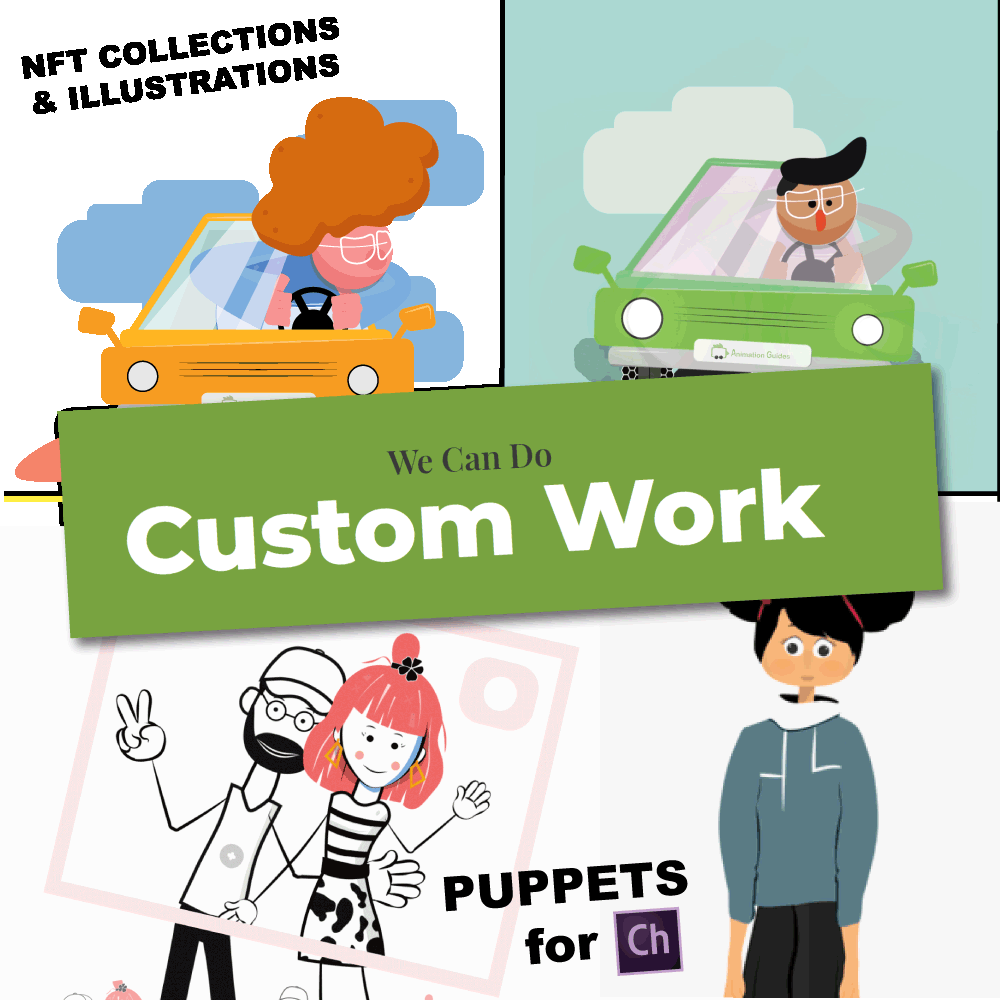 Custom Work - Animation Guides