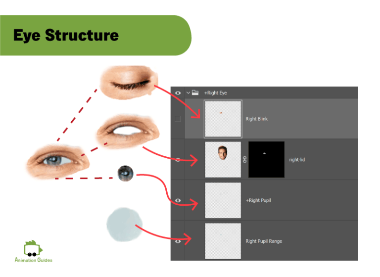 Step by Step Guide: From a Photo into Animated Puppet Using Photoshop ...