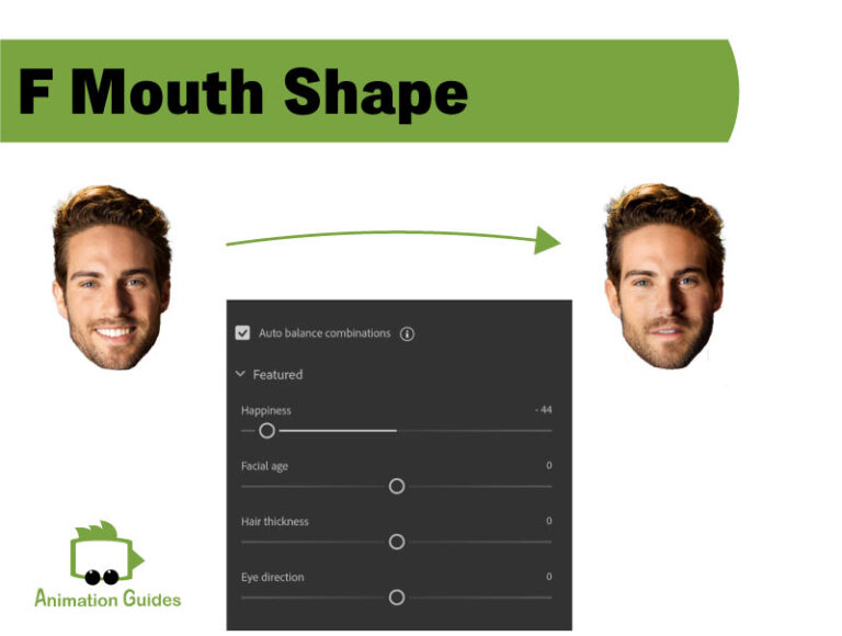 Step by Step Guide: From a Photo into Animated Puppet Using Photoshop ...